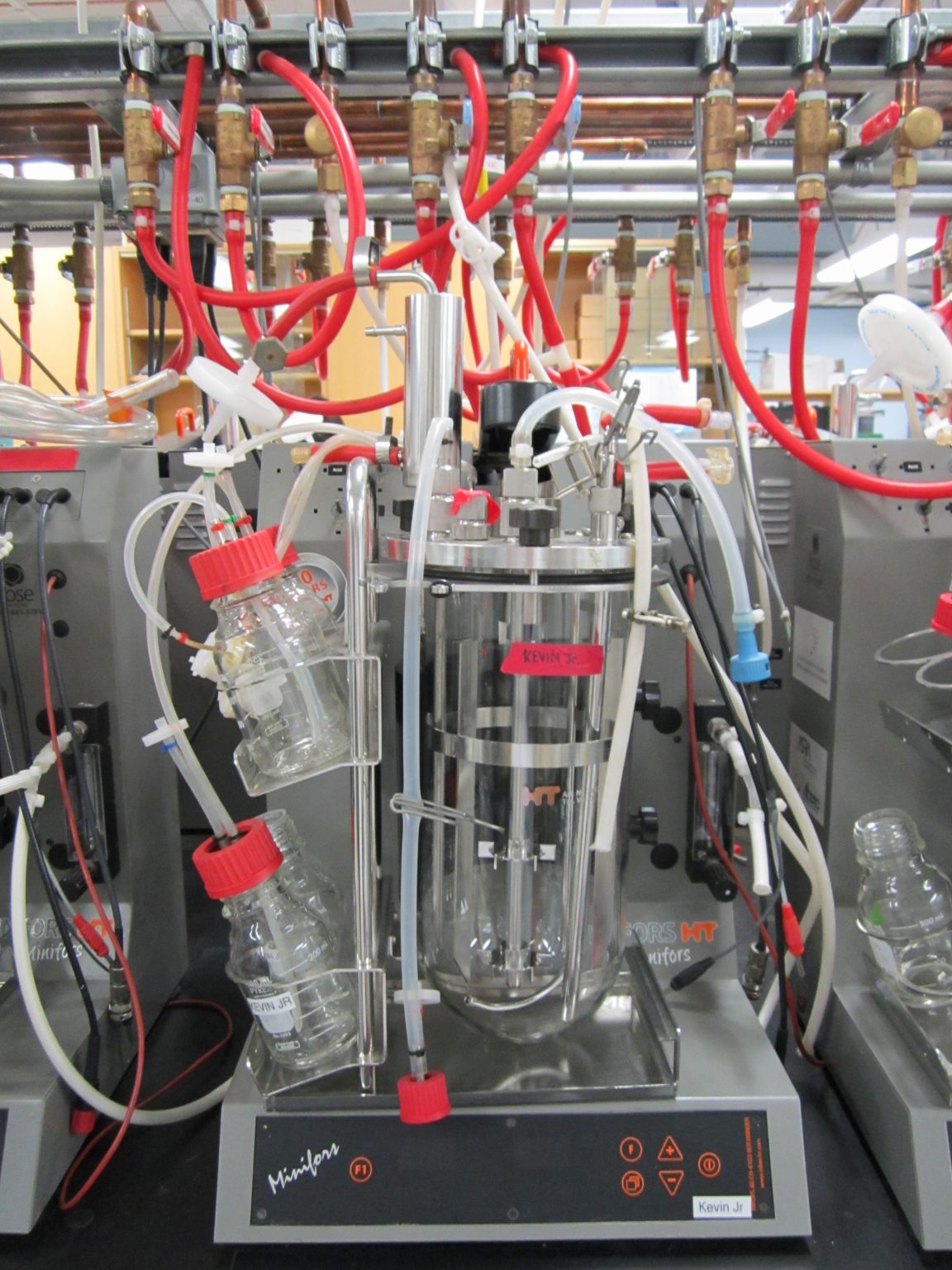 5L Bioreactor System - Bressler Lab