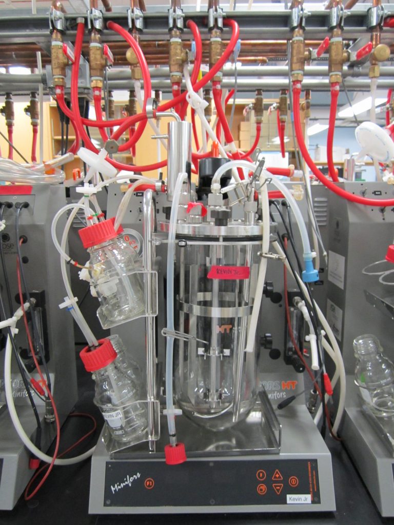 5L Bioreactor System - Bressler Lab