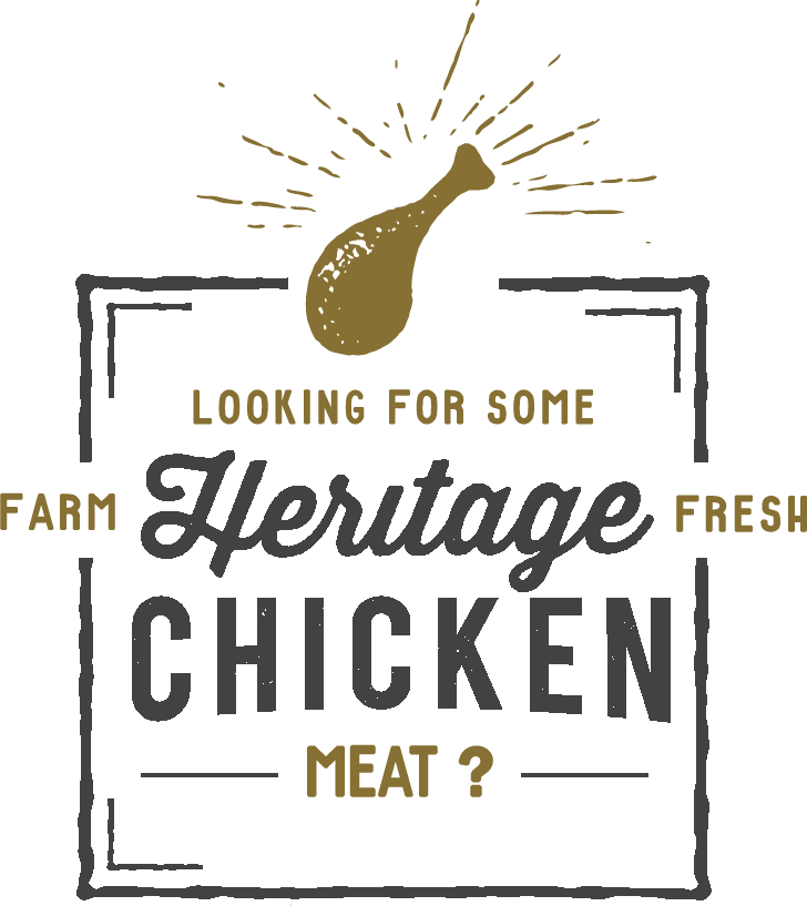Chick Program Heritage Chickens