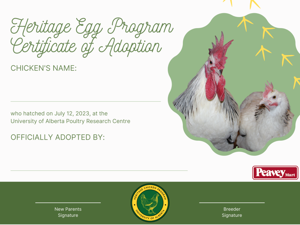 Adopt-a-Chicken - Heritage Chickens