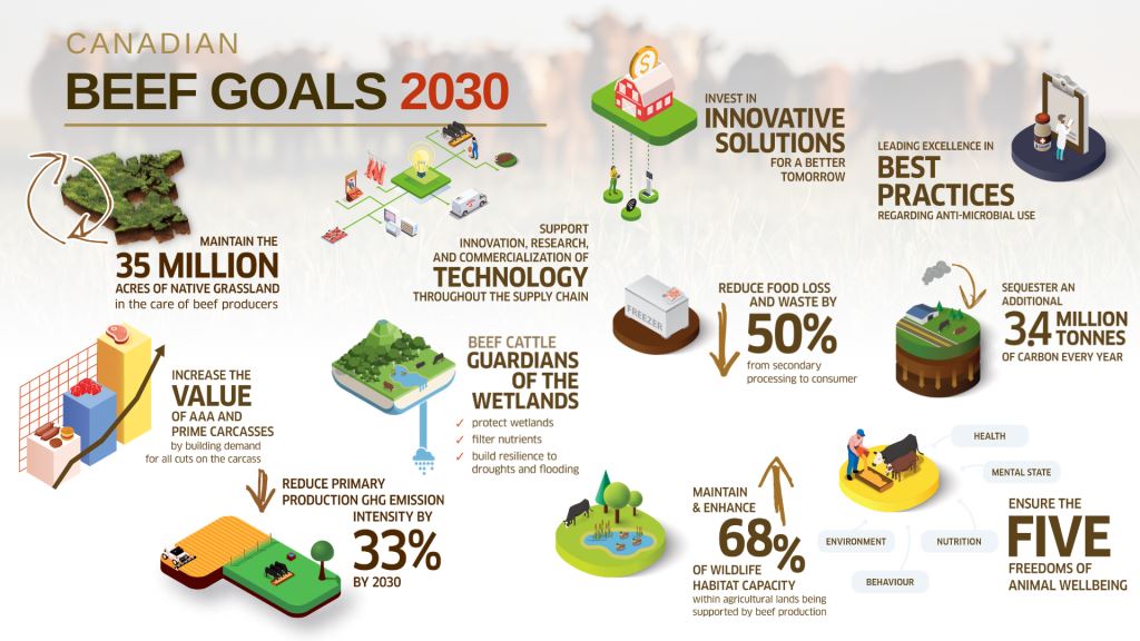 Ambitious 10-year goals for the beef industry - Livestock Gentec