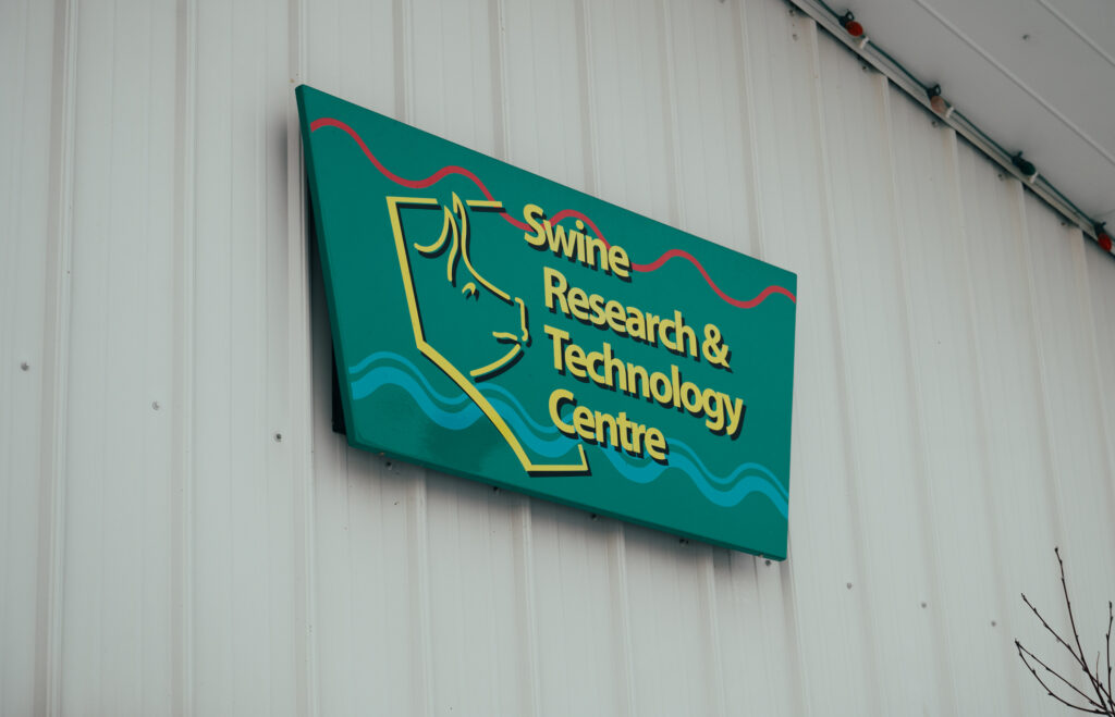 How Genomic Tools are Helping Pork Producers Breed Healthier Hogs ...