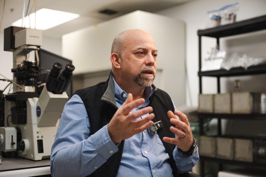 How Genomic Tools are Helping Pork Producers Breed Healthier Hogs - Livestock Gentec