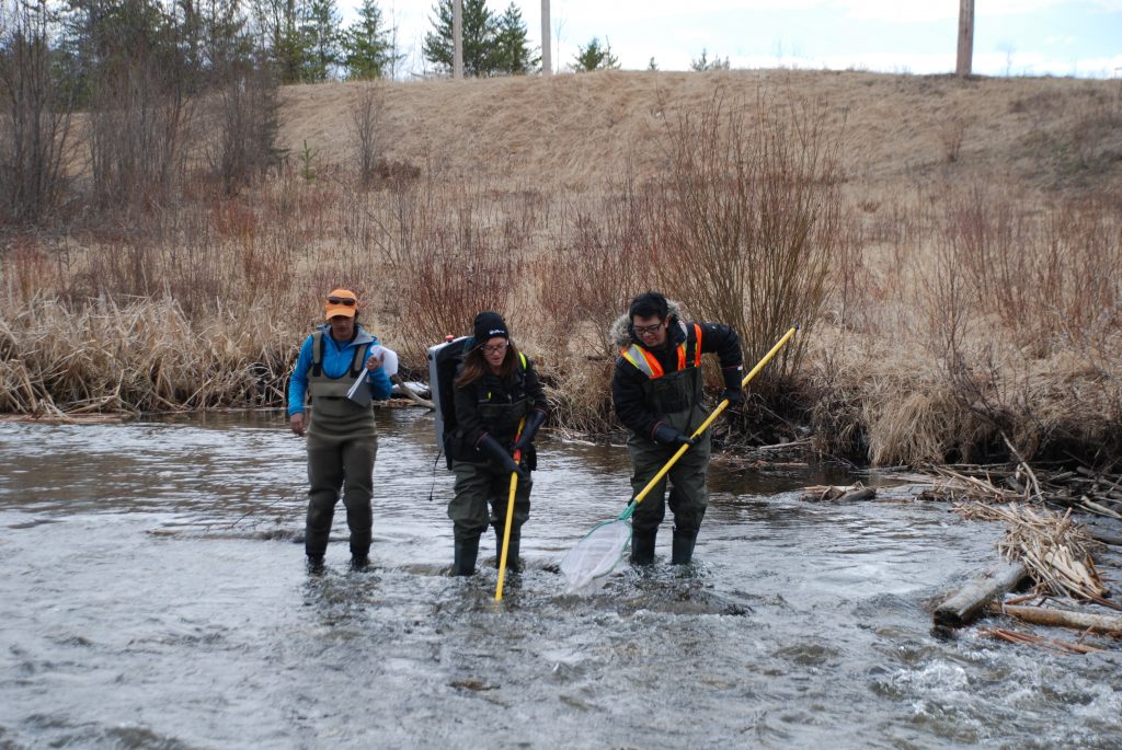 Poesch, M.S. (2014) Developing standardized methods for sampling ...