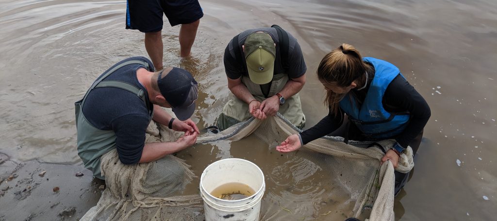 UofA rises in ranks! UofA ranked 8th in the world in Environmental ...