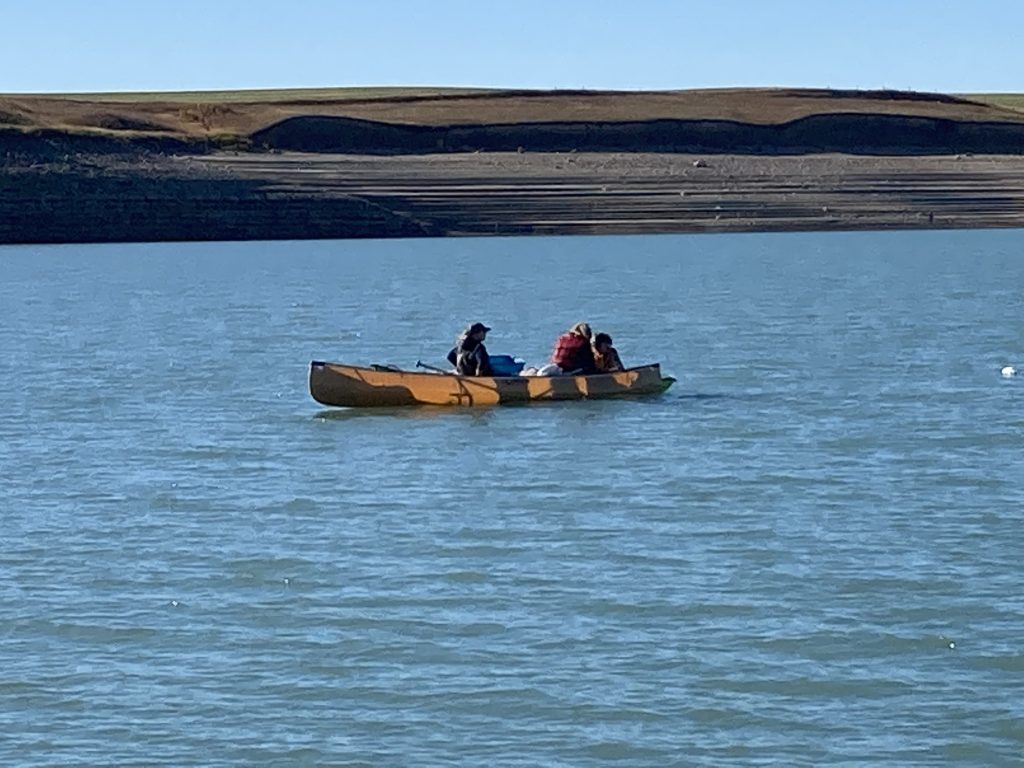 Edgar, M. (2022) The introduction of Cipangopaludina chinensis and ...